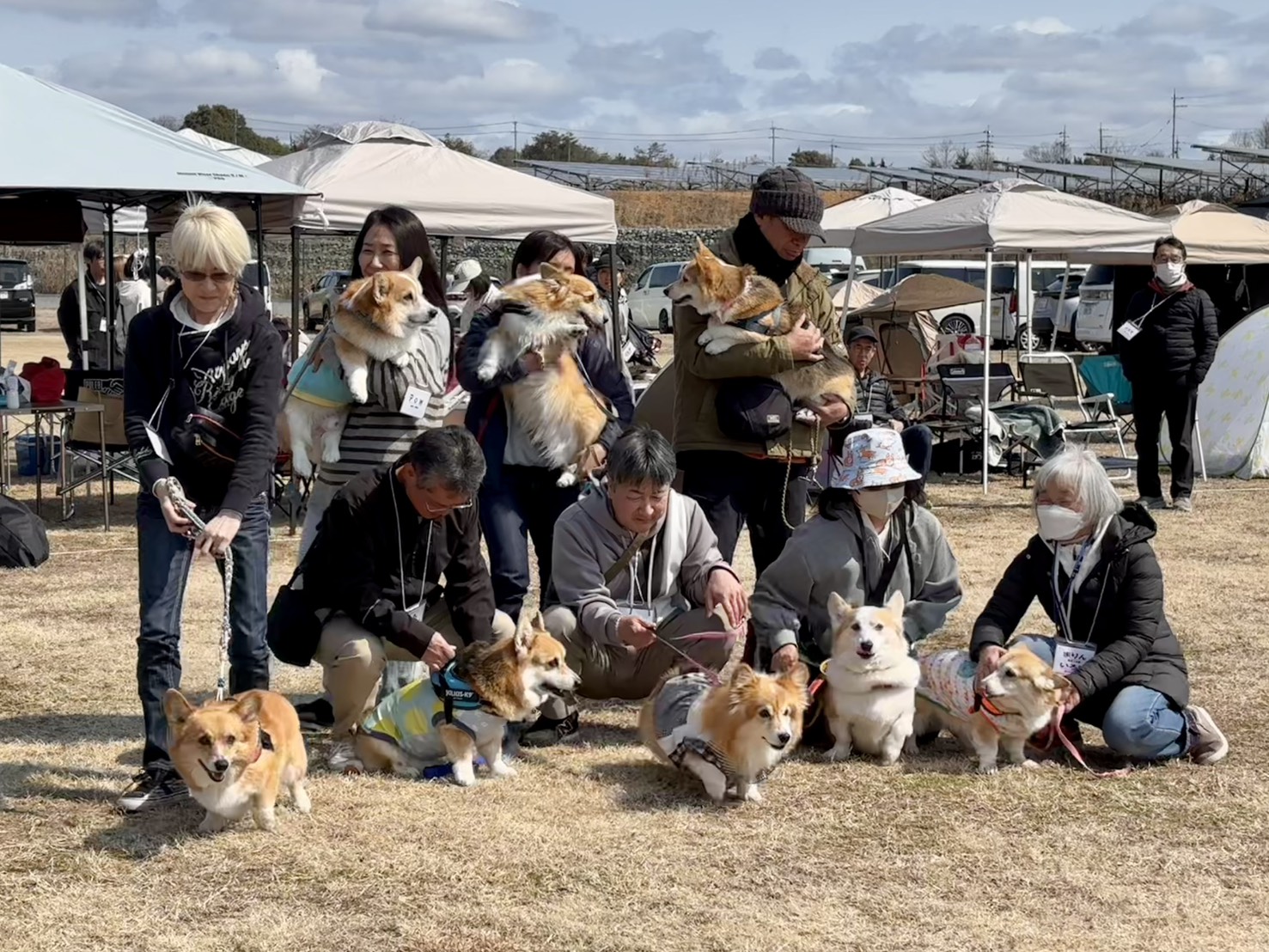 【プロスパアの子犬たち】コーギー便り(*‘ω‘ *) プロスパアっ子親睦会．Part4 ｜ 【プロスパアケンネル】コーギー専門ブリーダー 両親 ...
