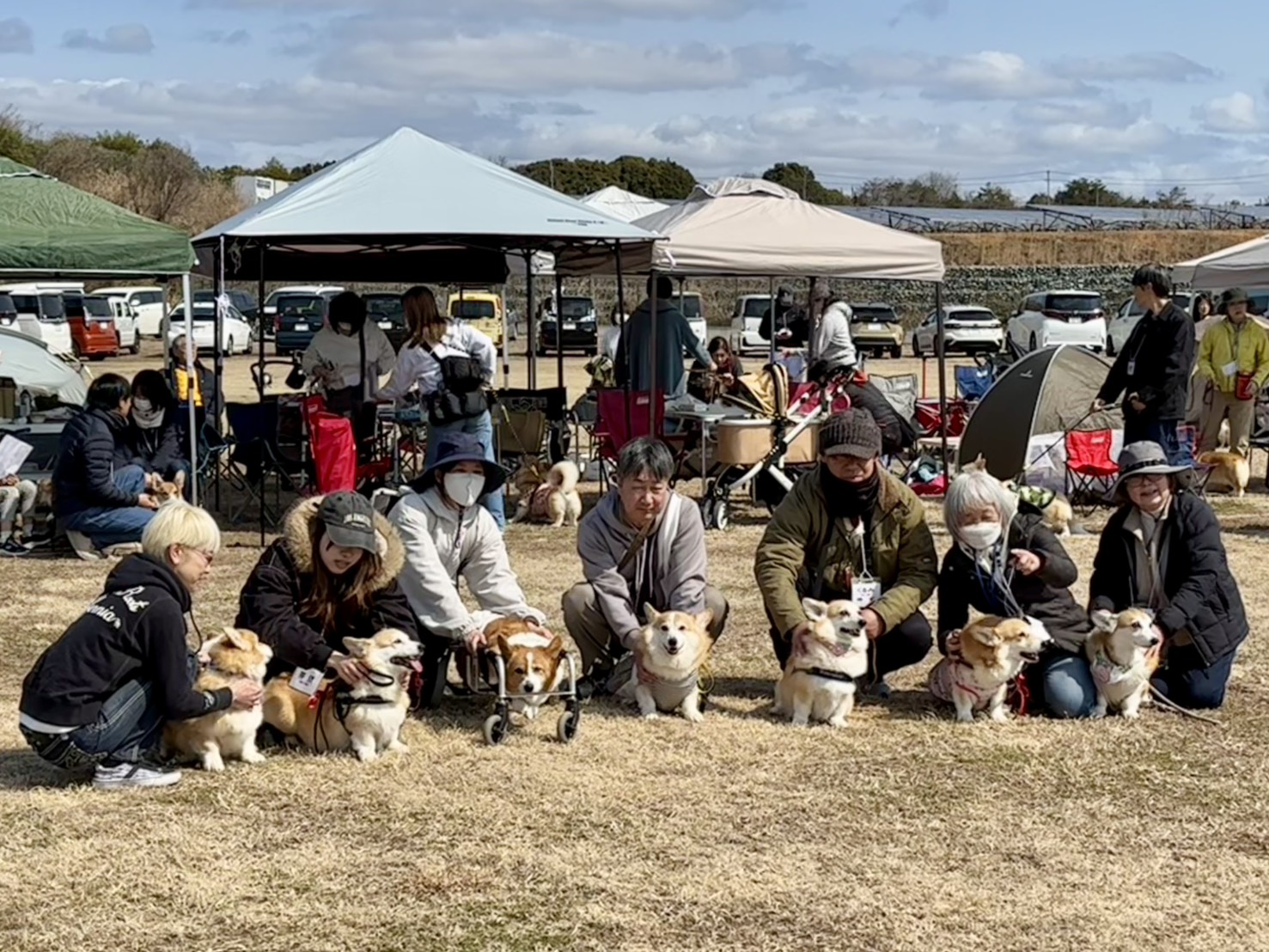 【プロスパアの子犬たち】コーギー便り(*‘ω‘ *) プロスパアっ子親睦会．Part4 ｜ 【プロスパアケンネル】コーギー専門ブリーダー 両親 ...
