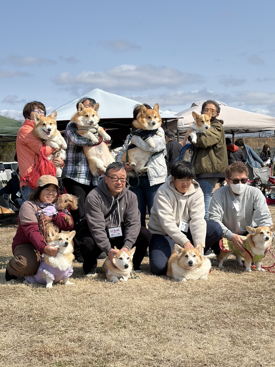 【プロスパアの子犬たち】コーギー便り(*‘ω‘ *) プロスパアっ子親睦会．Part13 ｜ 【プロスパアケンネル】コーギー専門ブリーダー ...